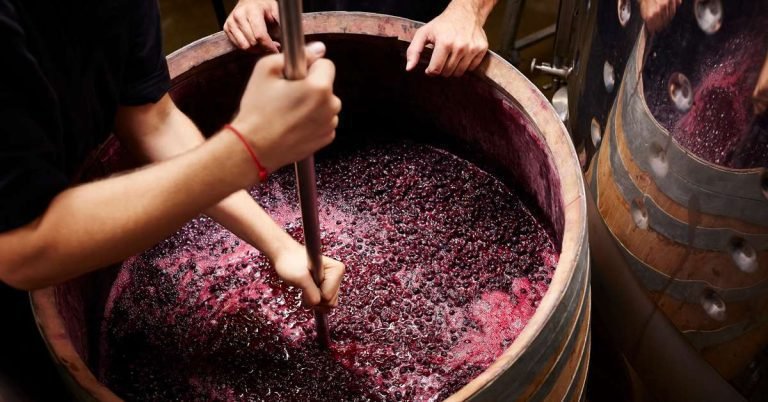 Wine Tasting Notes: Flavours, Structure & Finish Explained